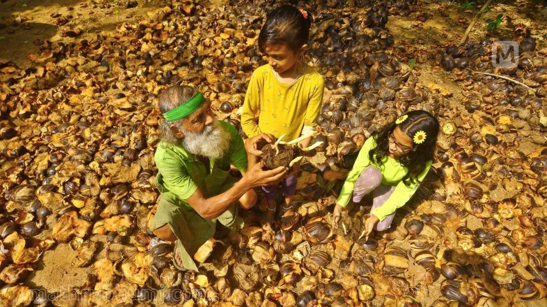 Kallur Balan, Kerala climate activist, devotes life to environmental ...