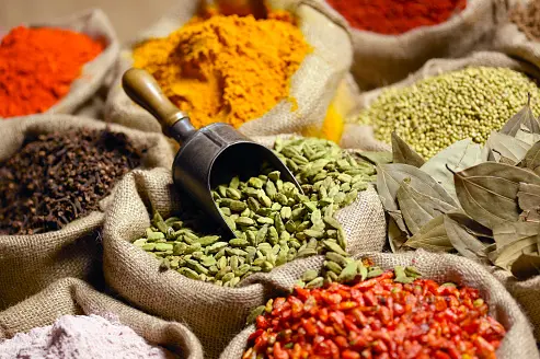 Coming Soon: Geo-tagging of spice plantations in Kerala