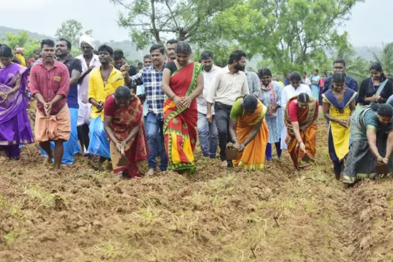 'Kambalam': Attappadi tribal agriculture festival opens doors to tourists