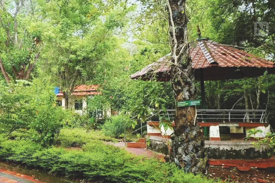 Kerala’s first peafowl sanctuary opens for trekking in June