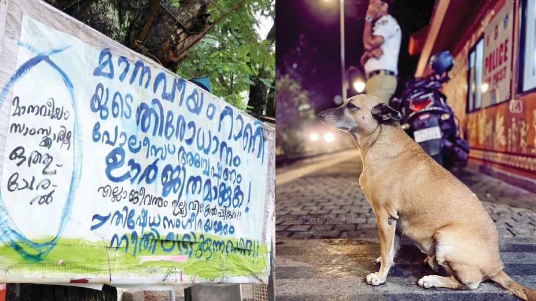 Manaveeyam Veedhi awaits return of beloved street dog `Rani' missing ...