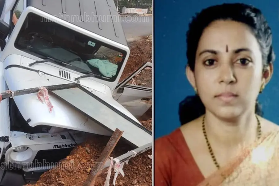 Relative of actor Mathew Thomas dies in accident, parents injured ...