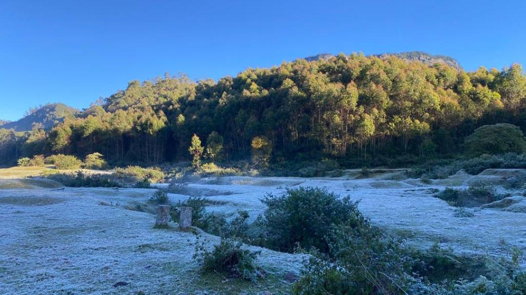 Weather drops below zero degree in Munnar, snow clad meadows attract ...