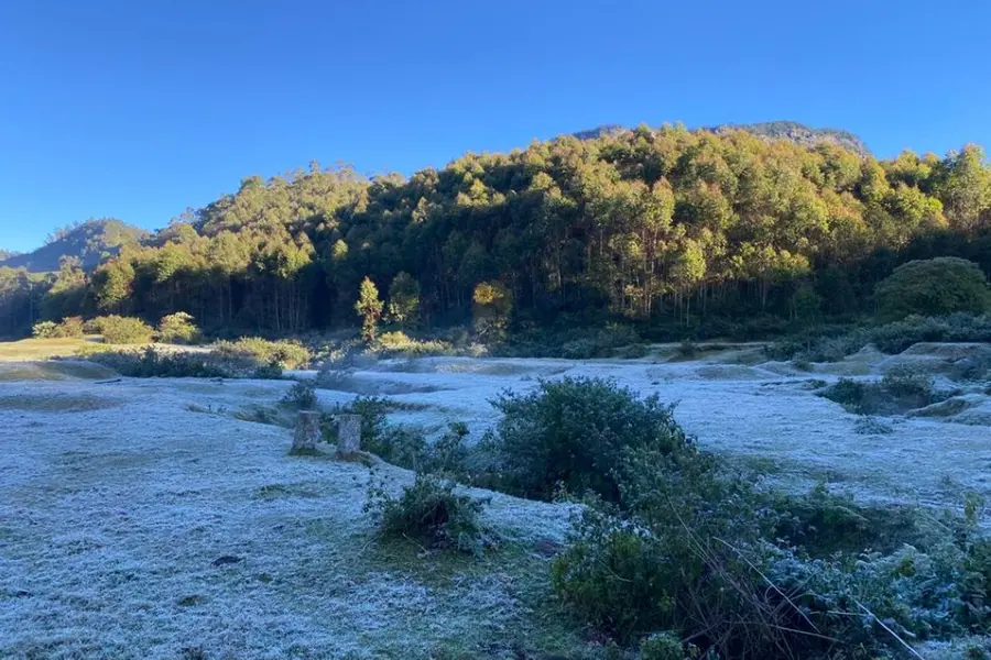 Weather drops below zero degree in Munnar, snow clad meadows attract ...