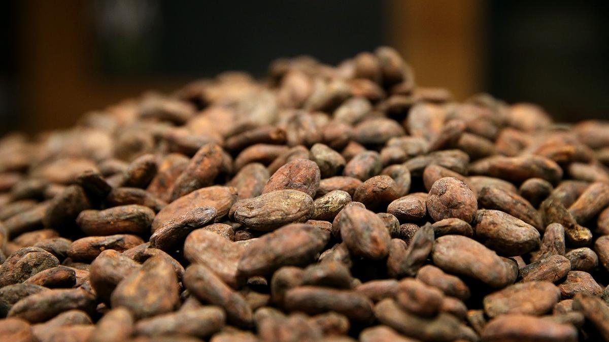 Cocoa shortage sparks increase in Chocolate prices