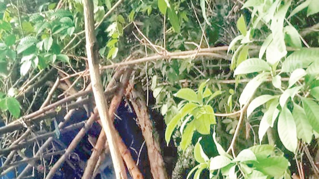 Thrissur: Gang sets up hut with bed and cot to consume psychoactive ...