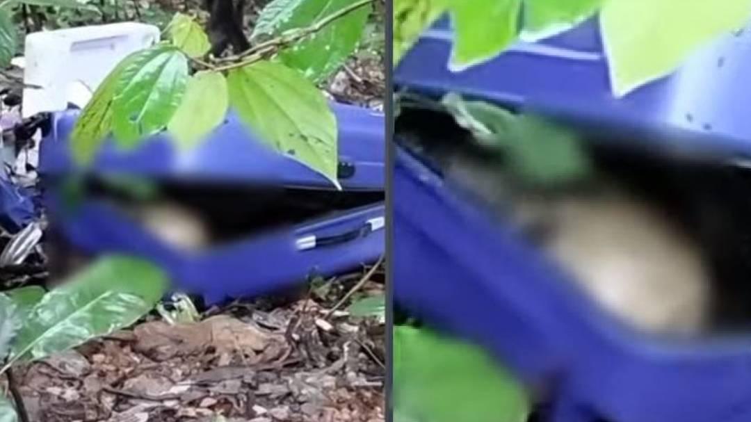 Chopped body parts found in abandoned trolley bag near Kerala-Karnataka ...