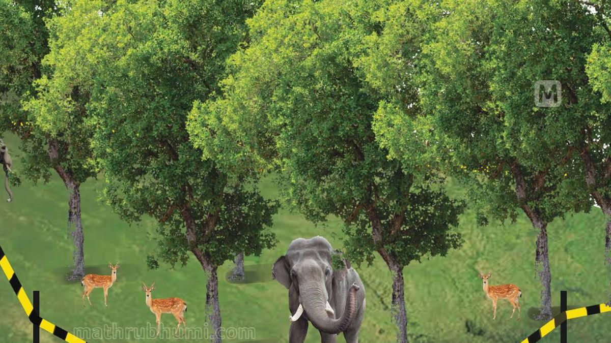 Buffer zone: SC says primary aim to control mining activities; hopes high for Kerala in relaxation