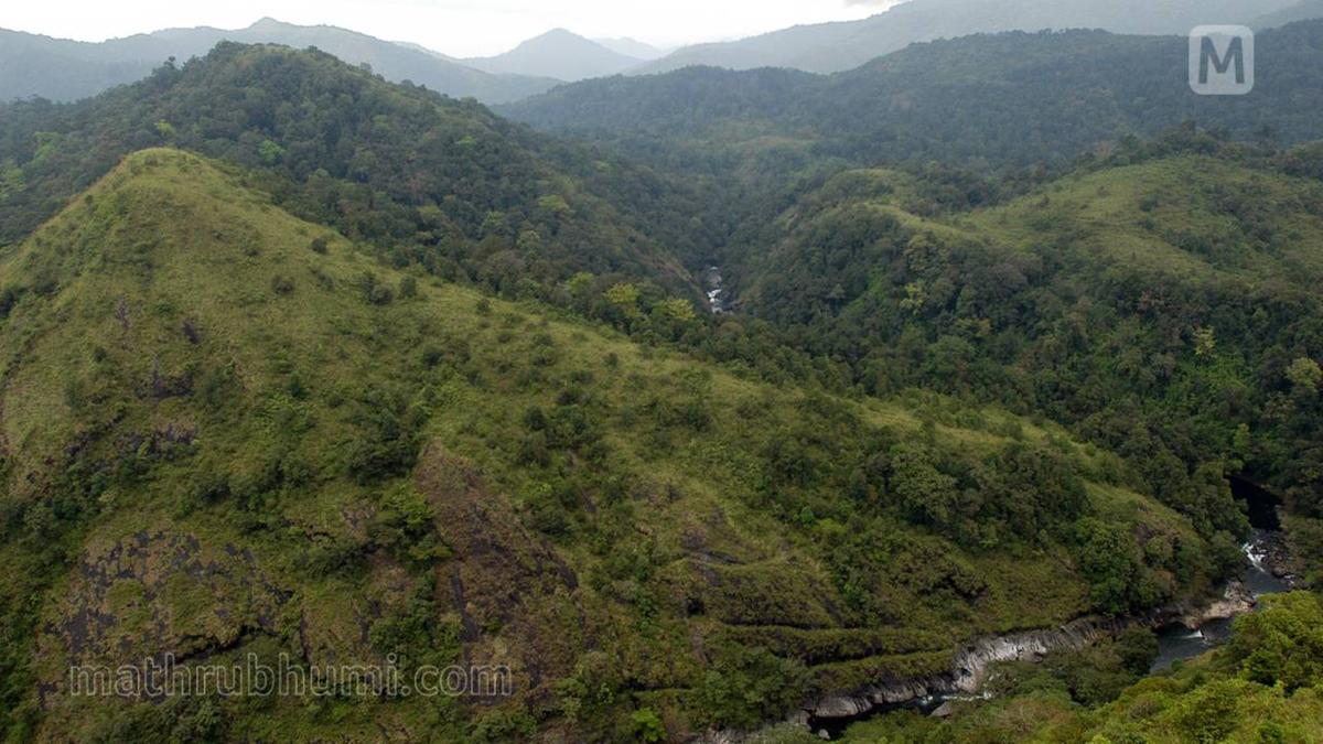 Buffer zone: Kerala govt to seek 3-month extension to submit details on buildings