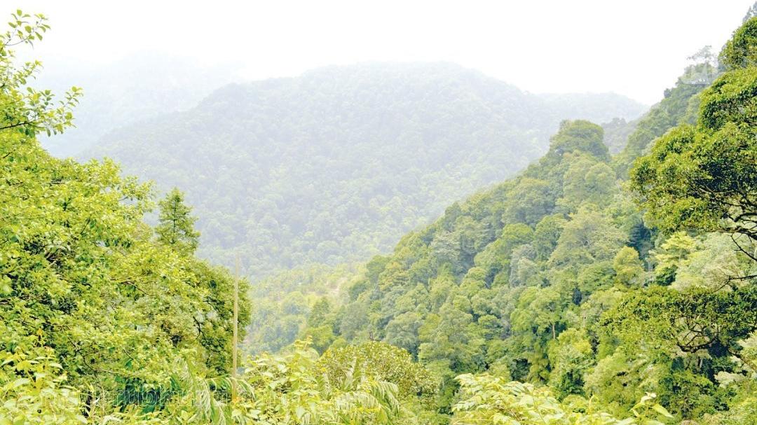 People in buffer zones won't be displaced, can continue with ...