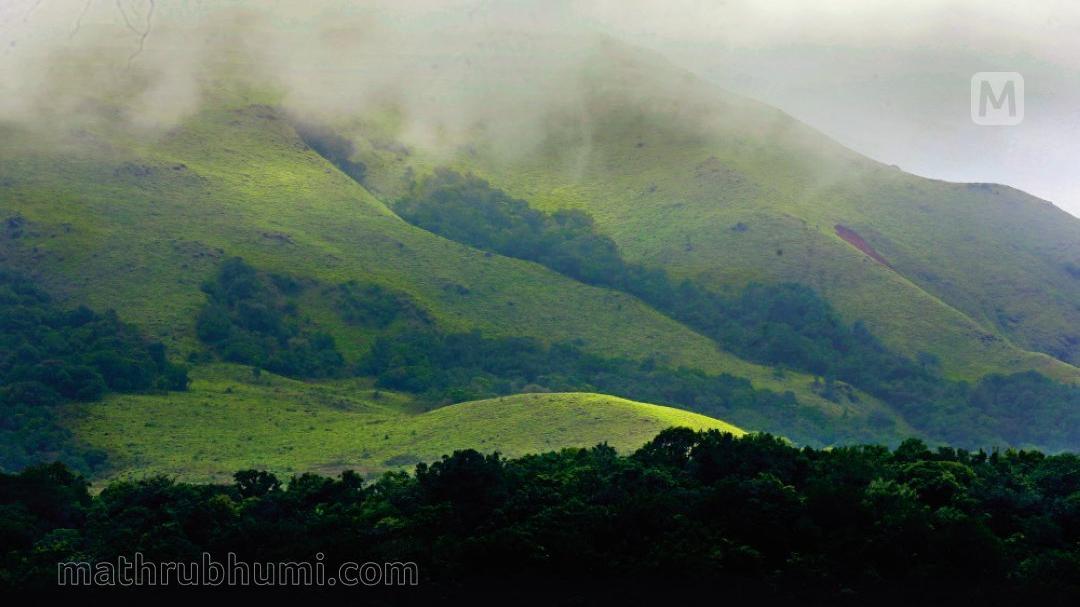 Local bodies in Kerala to ready Buffer zone mapping