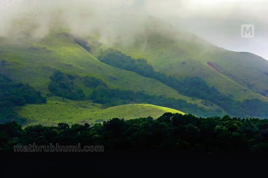 Local bodies in Kerala to ready Buffer zone mapping