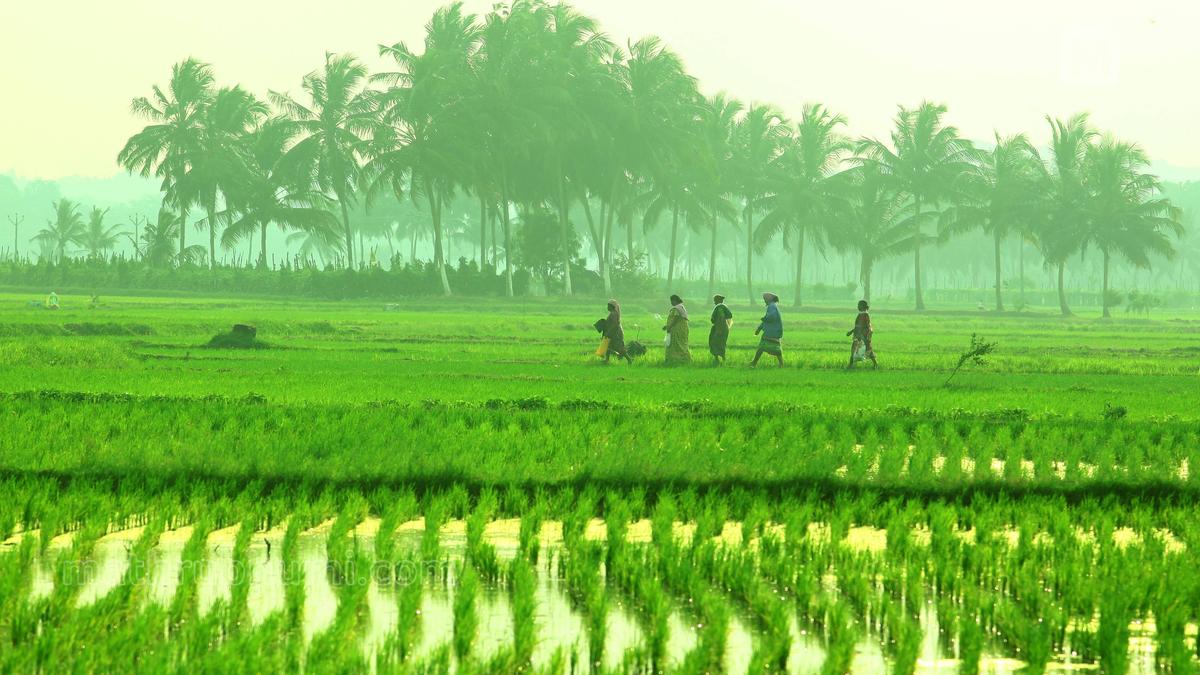 Kerala's Aymanam in best tourist destinations' list of int'l magazine