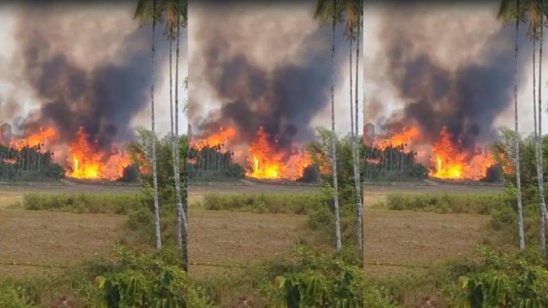 Forest fire breaks out in Wayanad; no casualties, efforts to control ...