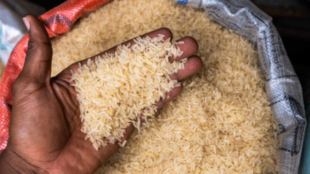 Kerala to introduce K Rice to checkmate Bharat Rice | Mathrubhumi English