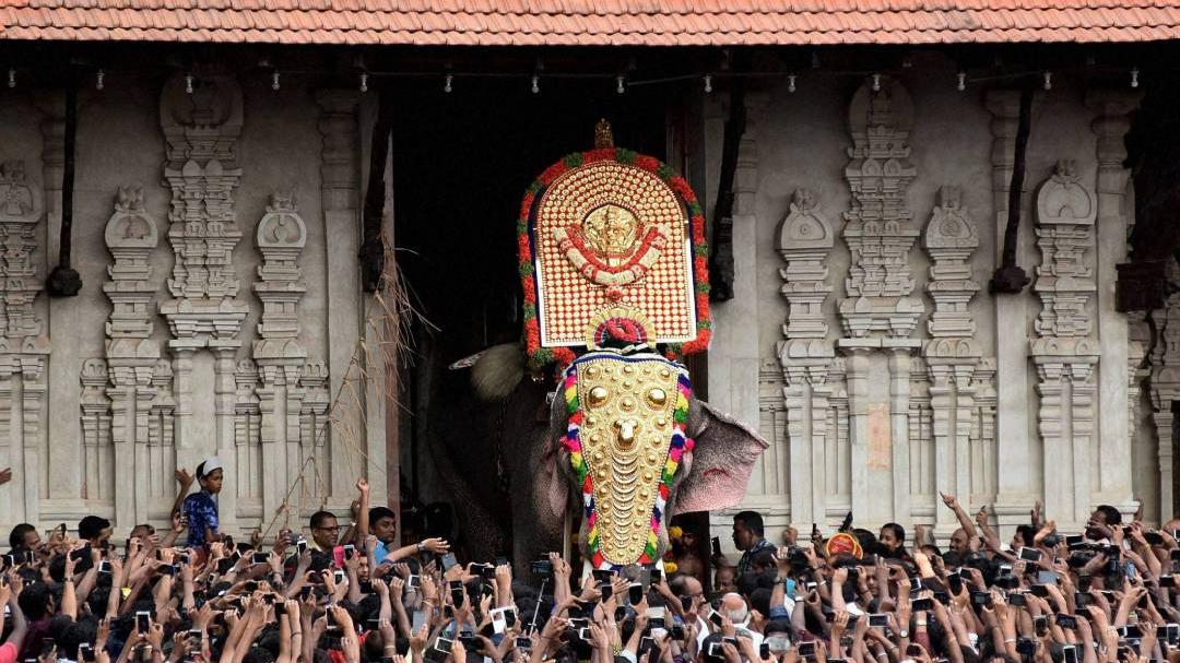As domesticated elephant numbers dwindle, temple festivals in crisis ...