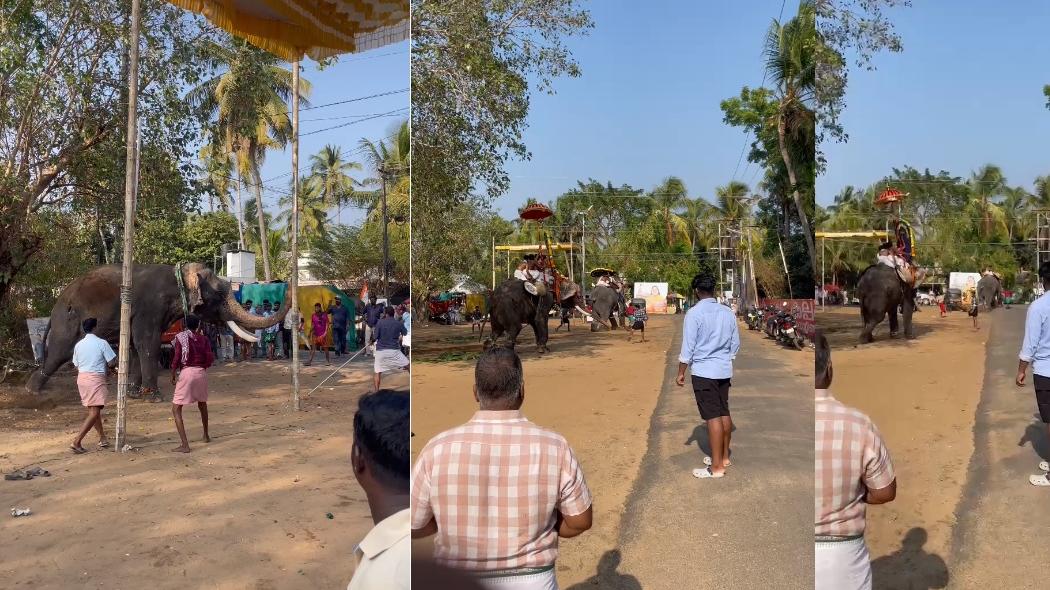4 injured as 2 elephants run amok during Chavakkad temple festival