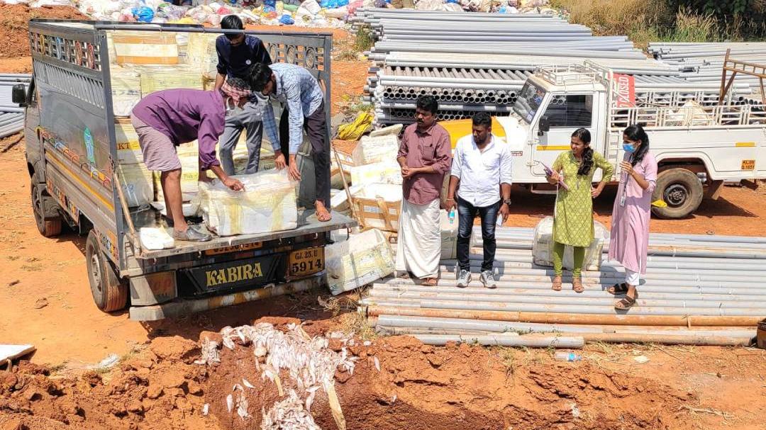 Over 2250 kg stale fish seized from vehicle near Edappal