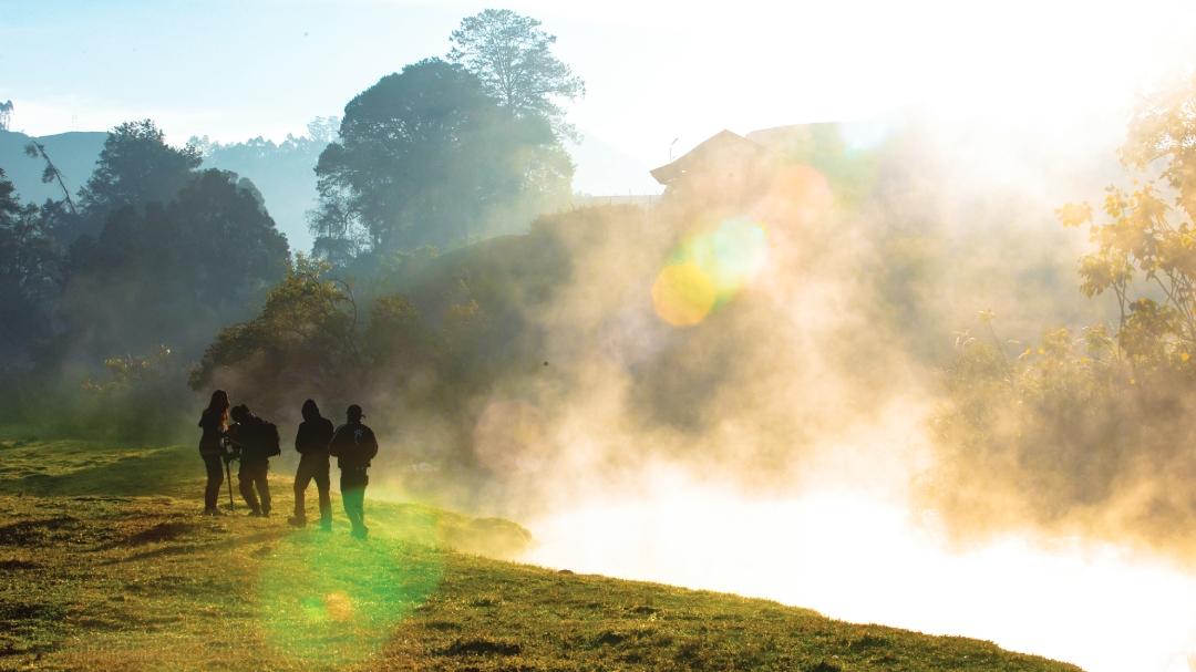 Heavy winter, snowfall in Munnar: Boon for tourism sector, blow to tea ...