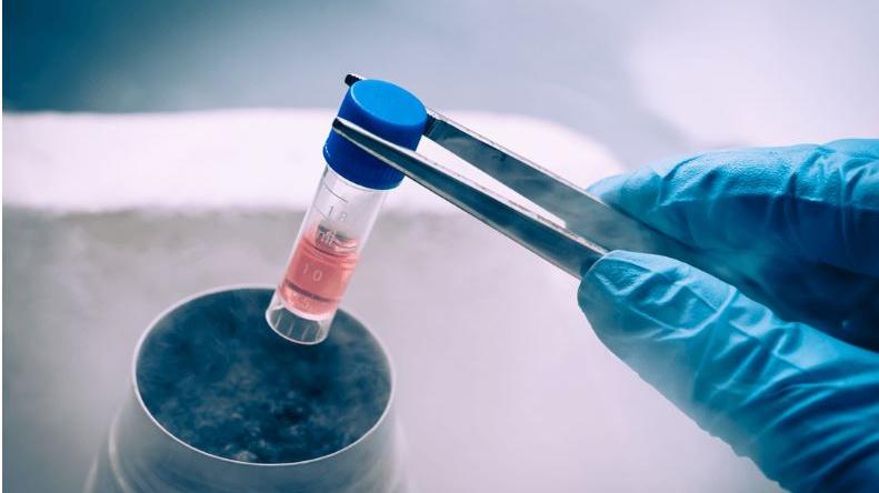 Five more samples test negative for Nipah virus in Kerala