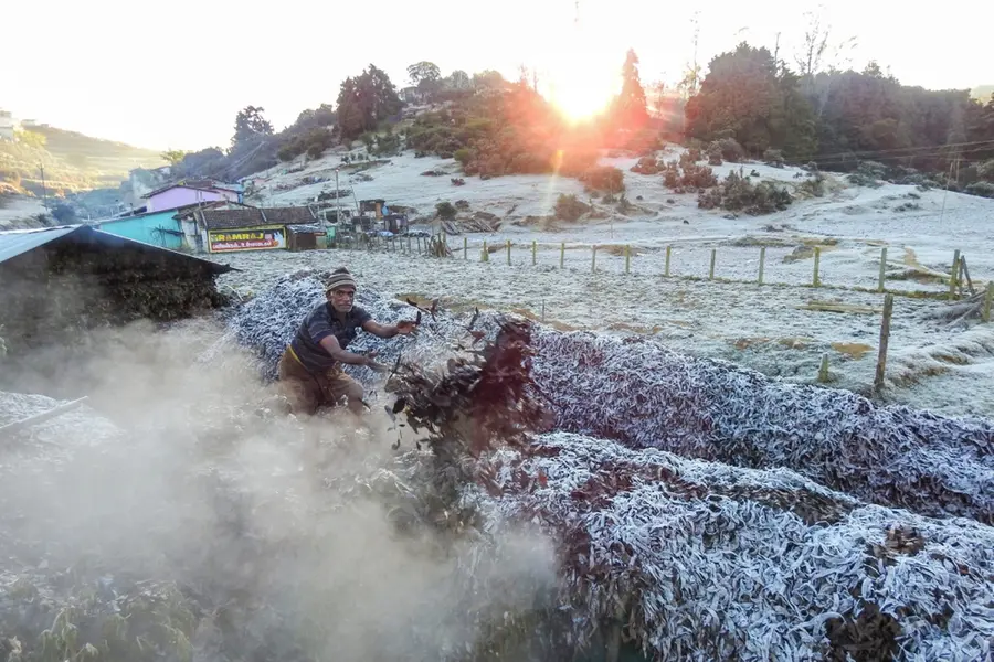 Temperature hits 1 degree Celsius in Ooty