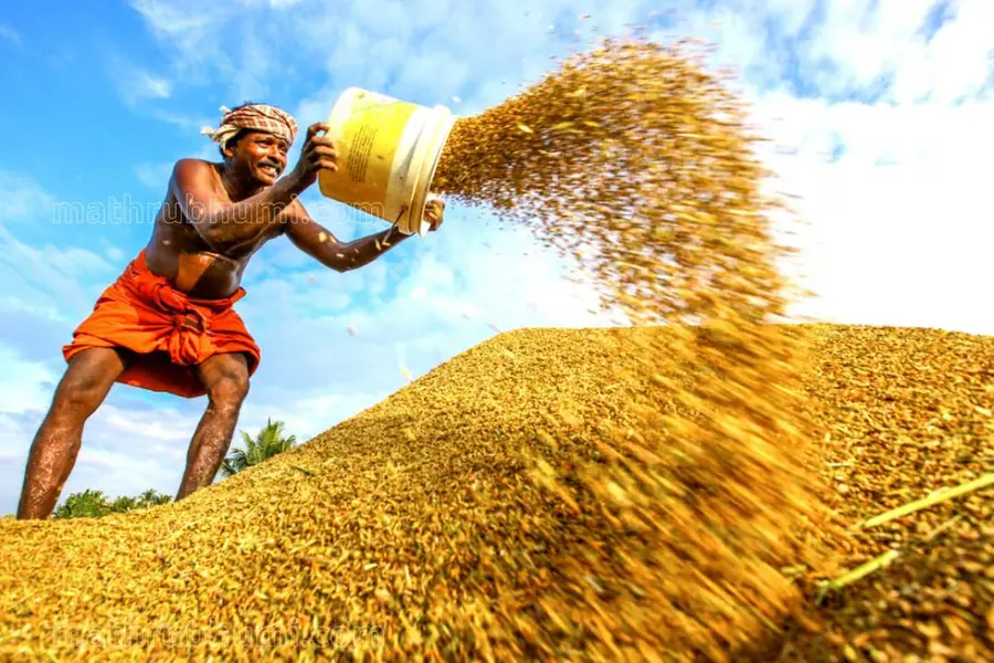 Kerala CM takes action to resolve paddy procurement arrears