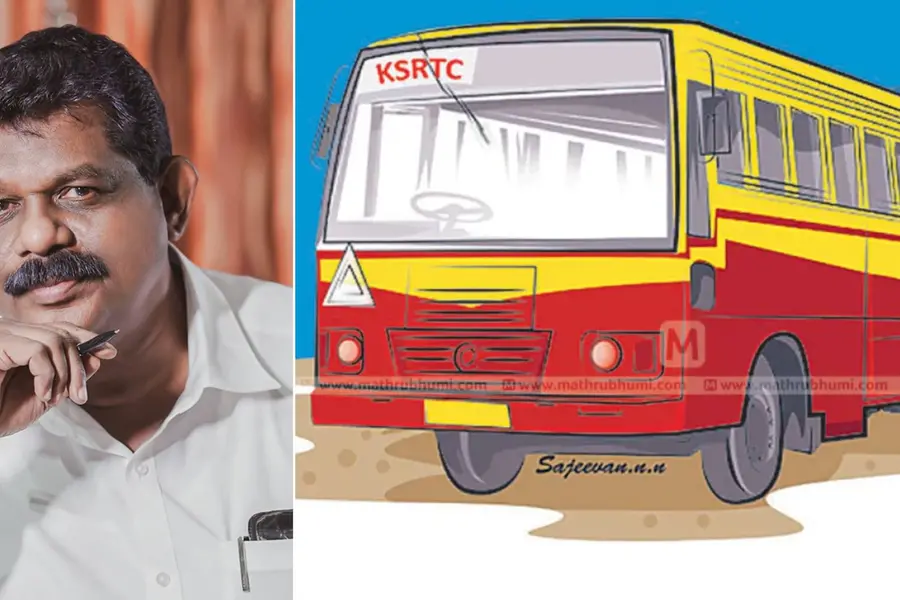 Seat belt mandatory for heavy vehicles from November onwards: Minister ...