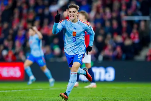 Gavi turns saviour as Spain and Scotland qualify for European ...