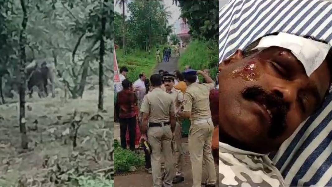 Fear grips Ulikkal in Kannur as wild jumbo injures 3; Educational ...