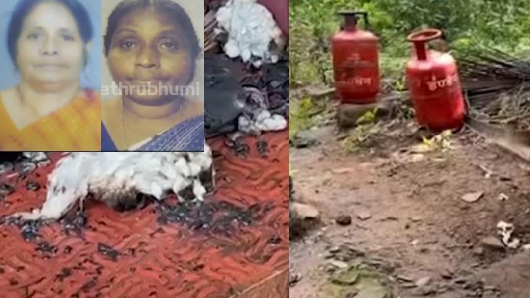 Death of sisters in Palakkad a case of murder, accused in custody: Police