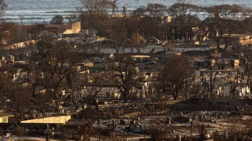 As death toll from Maui fire reaches 89, authorities say effort to ...