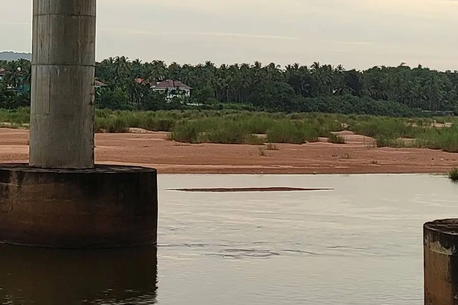 Body of young woman found in Bharathapuzha near Ottapalam | Mathrubhumi ...