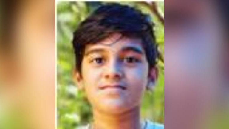 Boy dies after arecanut tree cut by father falls over him accidentally ...