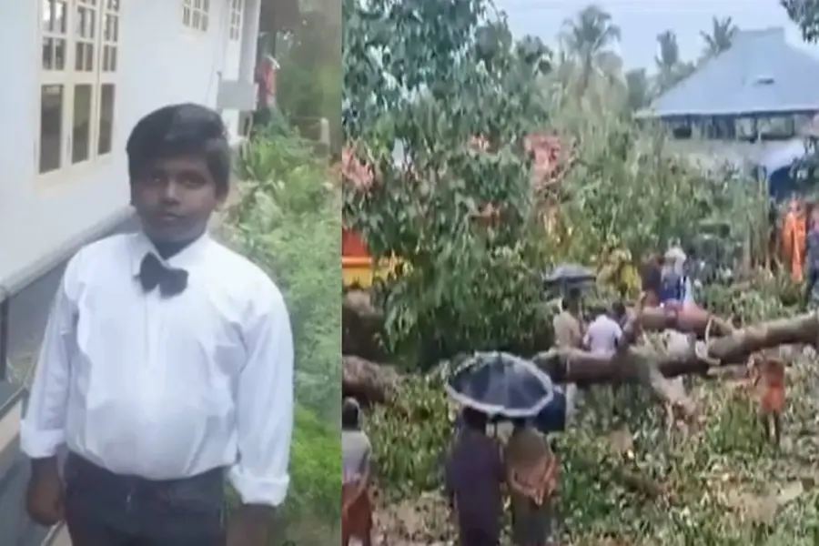 8-year-old boy dies after tree-branch falls on him in Aluva ...