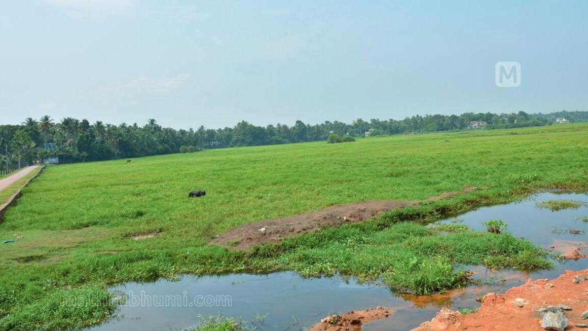 Alleged illegal sale of protected land: National ST Commission issues ...