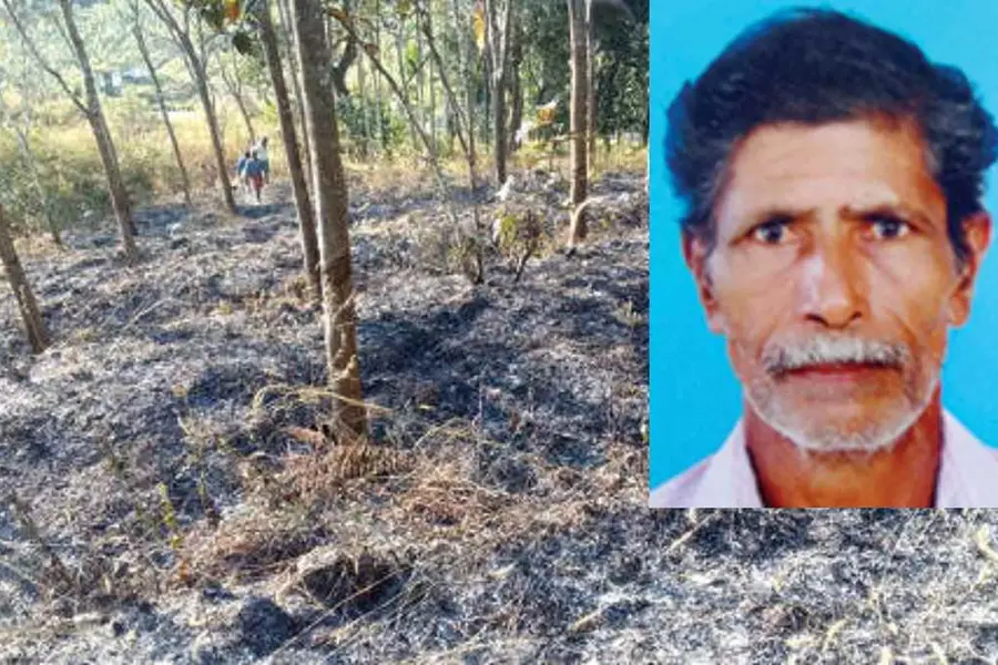 Wayanad farmer who set fire in his rubber grove dies of asphyxiation ...