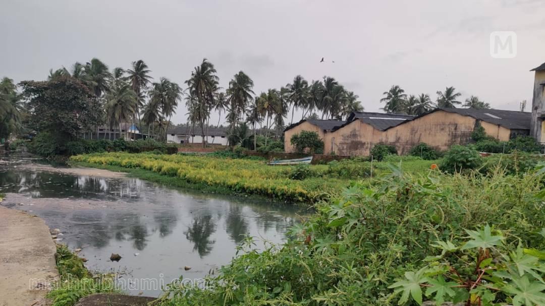 Won't abandon proposed STPs in Kozhikode, clarifies Mayor Beena Philip