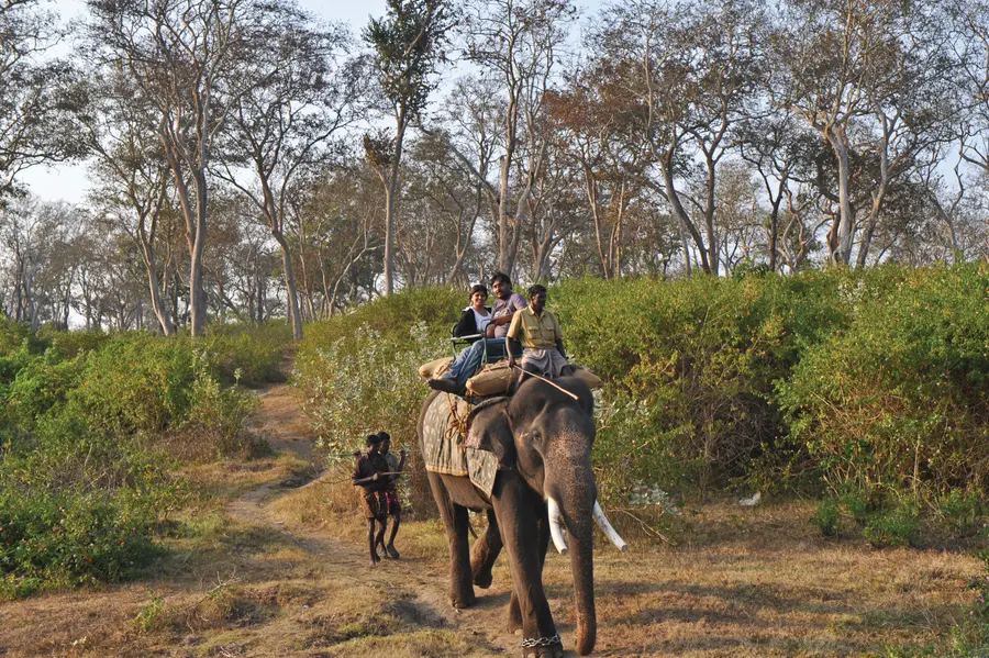 Mudumalai rehabilitation project: Govt initiates digital survey of land