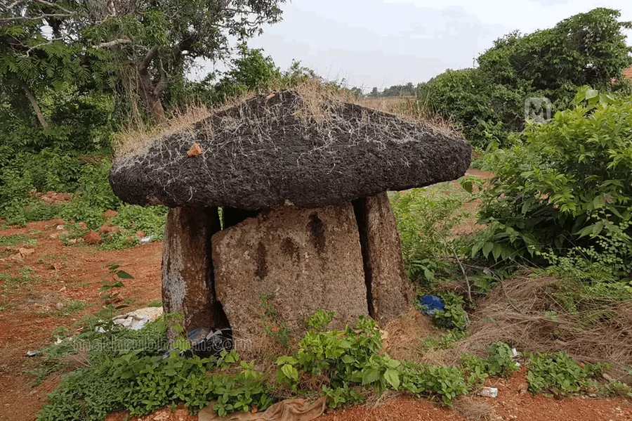 Kerala's megalithic past: A cry in the wilderness | Mathrubhumi English