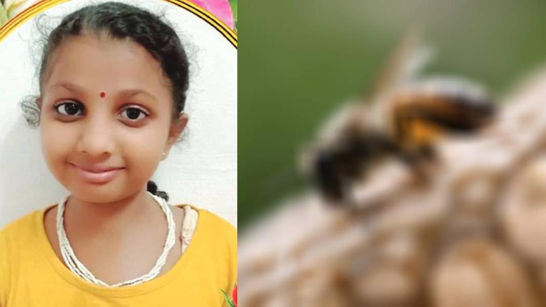 Class 8 girl dies of insect bite in Thiruvalla