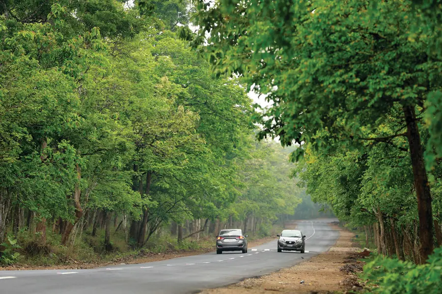 Rs 1000 fine if vehicles halt at Nagarahole National Park on Mysuru ...
