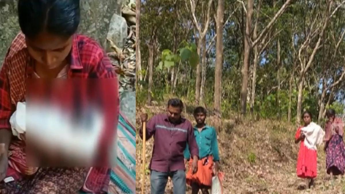 Six-month pregnant Palakkad tribal woman gives birth in forest