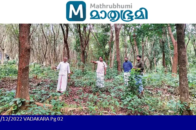 Kuttiady coconut park will soon be a reality | Mathrubhumi English