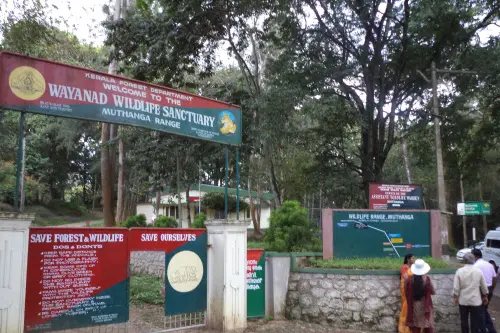 Environmentalists oppose KSRTC's night safari in Wayanad Wildlife ...