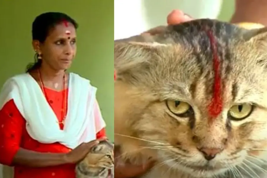 Ratheesh back home; Kottayam family welcomes their cat after 2 years