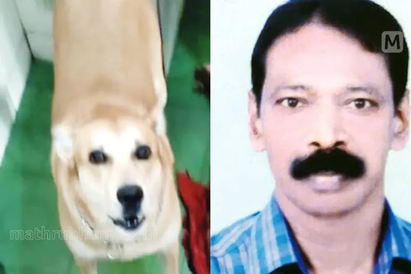 Pet dog guards dead body of owner for a day