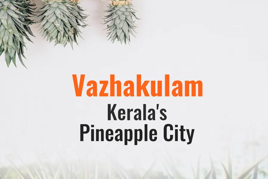 Vazhakulam: Kerala's Pineapple city | Mathrubhumi English