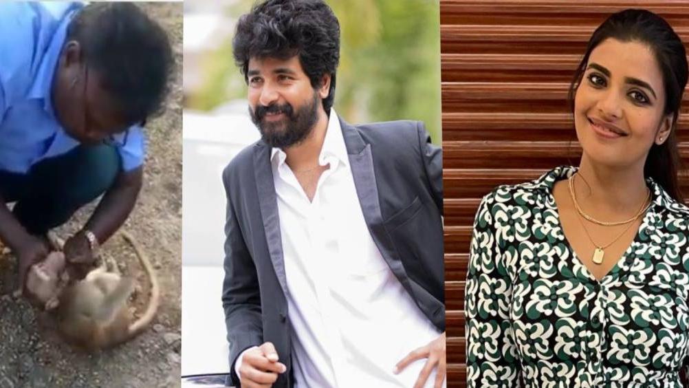 Sivakarthikeyan, Aishwarya Rajesh praise man who saved monkey by giving ...