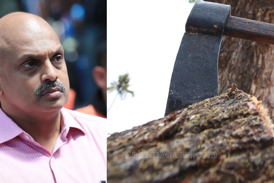 Muttil Tree Felling case: ADGP returns preliminary investigation report ...