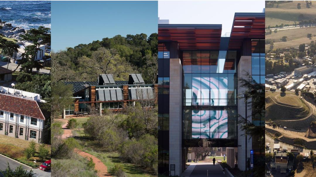 Stanford Science Fellowships: Apply by October 15